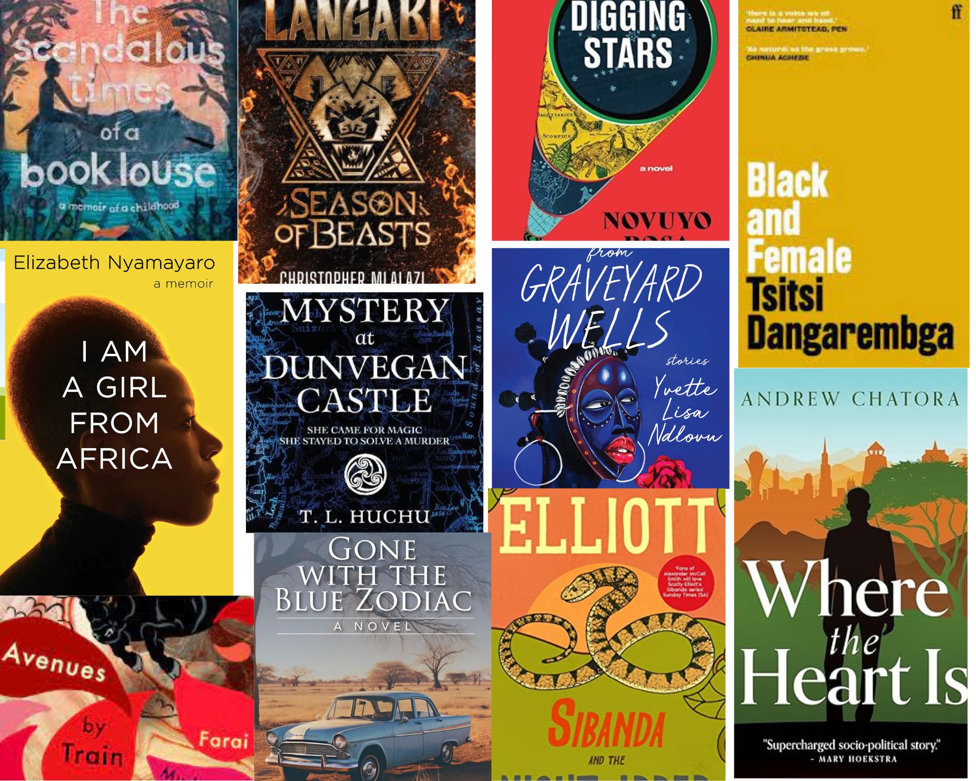 #ZimbabweLitMonth: Time to Say Goodbye | Global Literature in Libraries ...